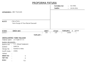 Proforma Fatura Nedir? İngilizce ve Türkçe Proforma Fatura Örnekleri ...